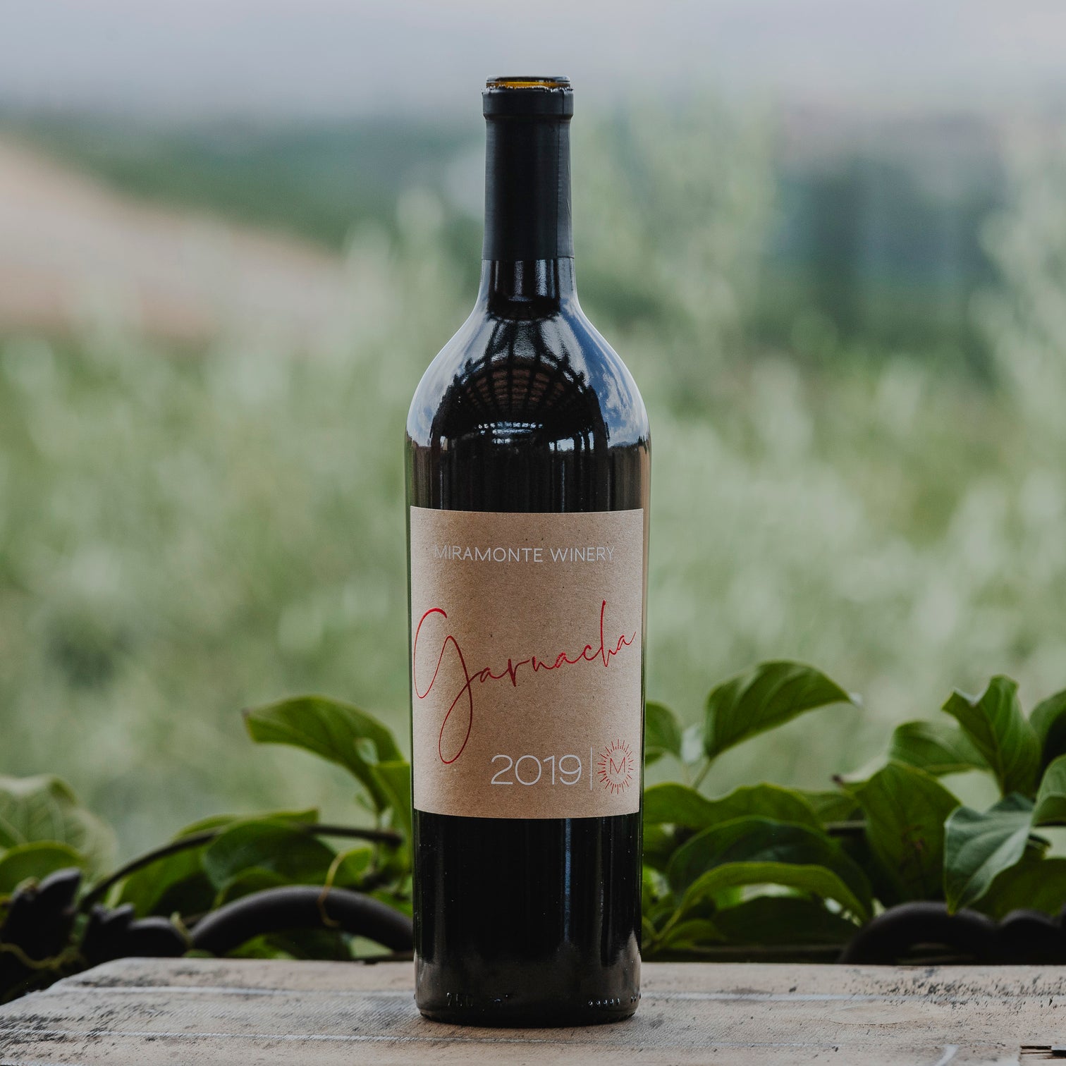 Red Wines – Miramonte Winery